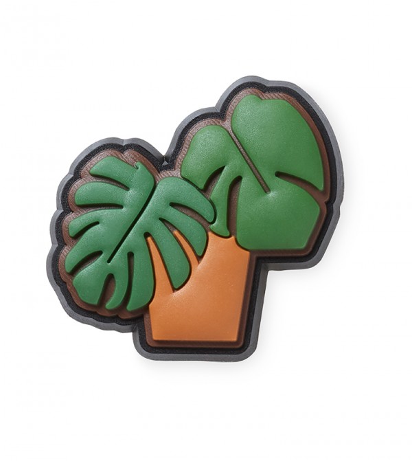 Crocs | Succulent Pot | Crocs